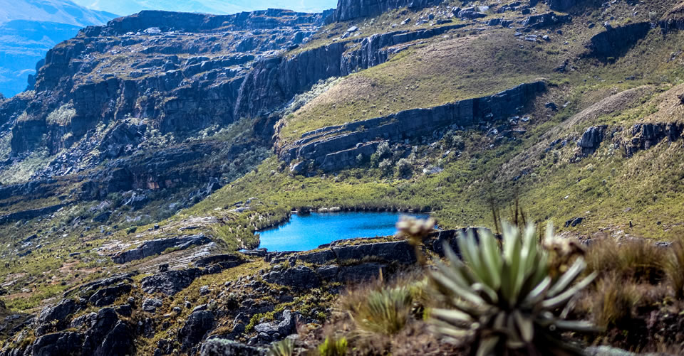 section of paramo de pisba – The Pull Of The Land